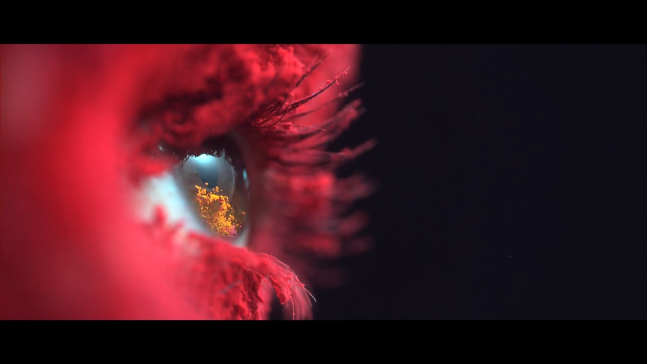 TF1 STUDIO - IDENTITÉ SONORE - Start-Rec